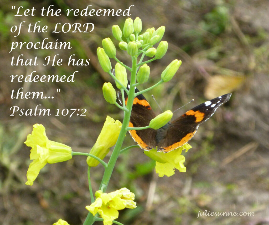 How To Live As A Redeemed Child | Julie Sunne