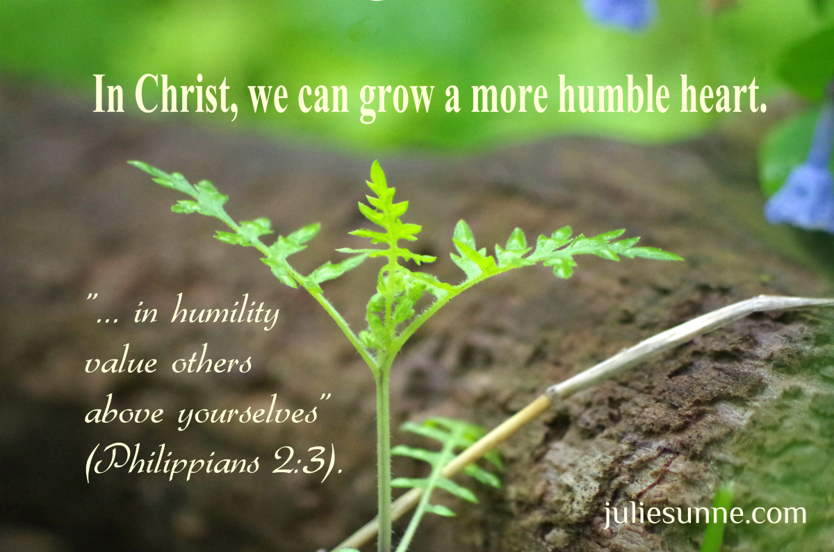 7 Steps to Growing a More Humble Heart - Julie Sunne