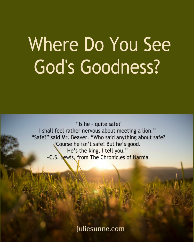 Where Do You See God's Goodness? | Julie Sunne
